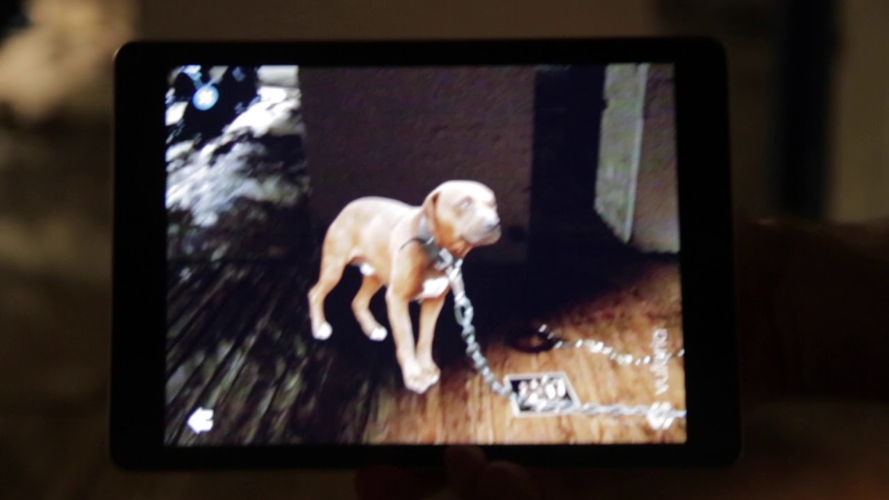 Augmented Reality - chained dog - YouTube
