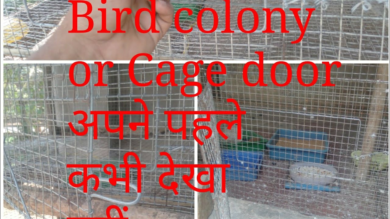 Bird Cage or colony best door and gate - YouTube