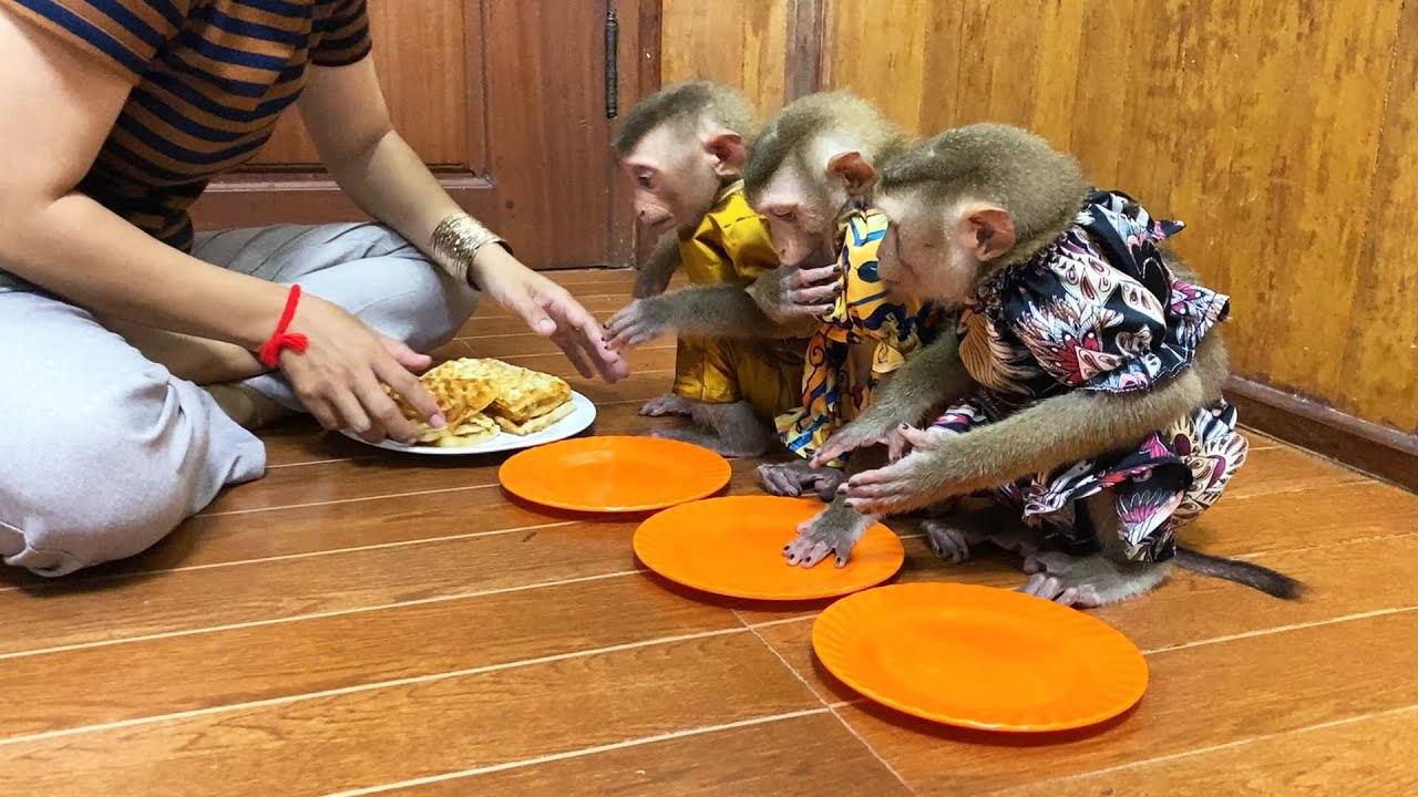 NUM PUM Time For The Trio JJ's & Flloyd To Queued Up For - YouTube