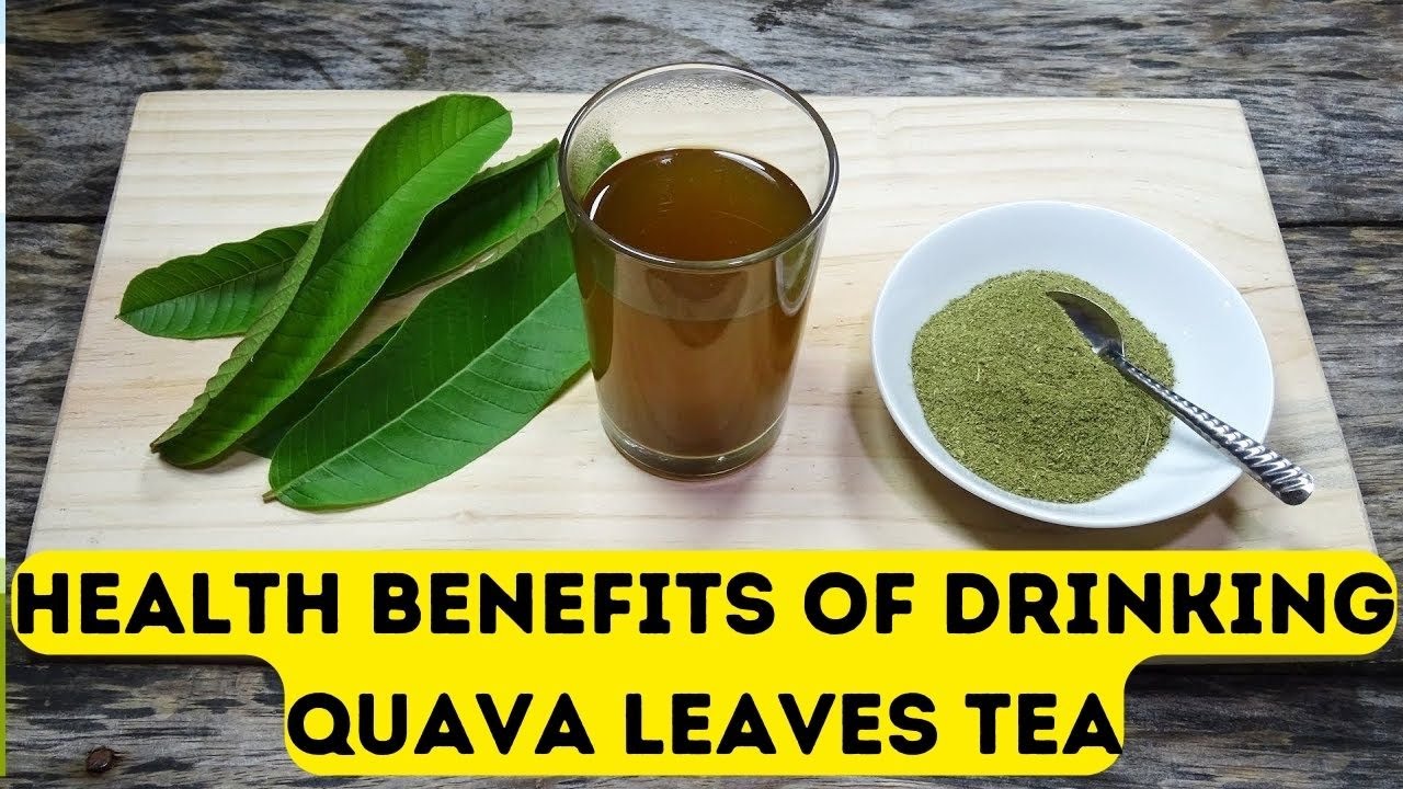 Health Benefits of Drinking Quava Leaves Tea - YouTube