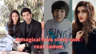 Love Story Cast