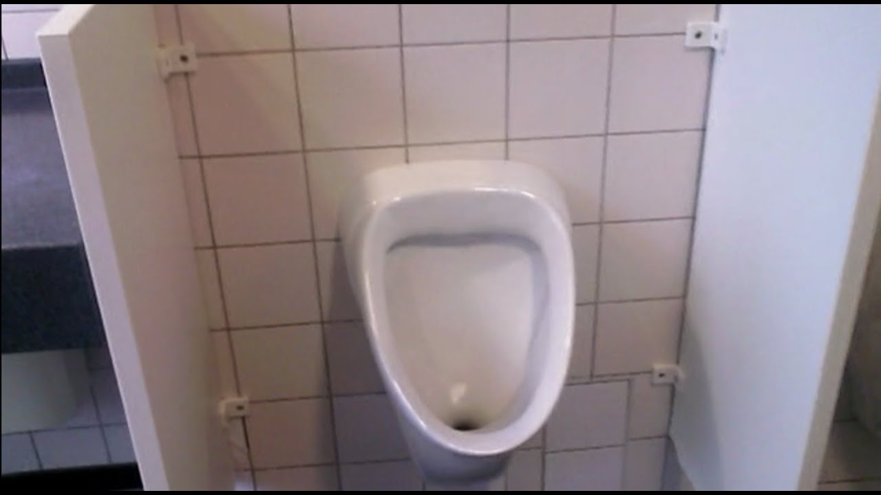Keramag urinal with hidden radar sensor flush and Vigour toilet with ...