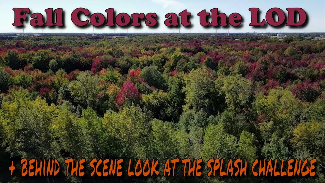 Fall Colors at the LOD - YouTube