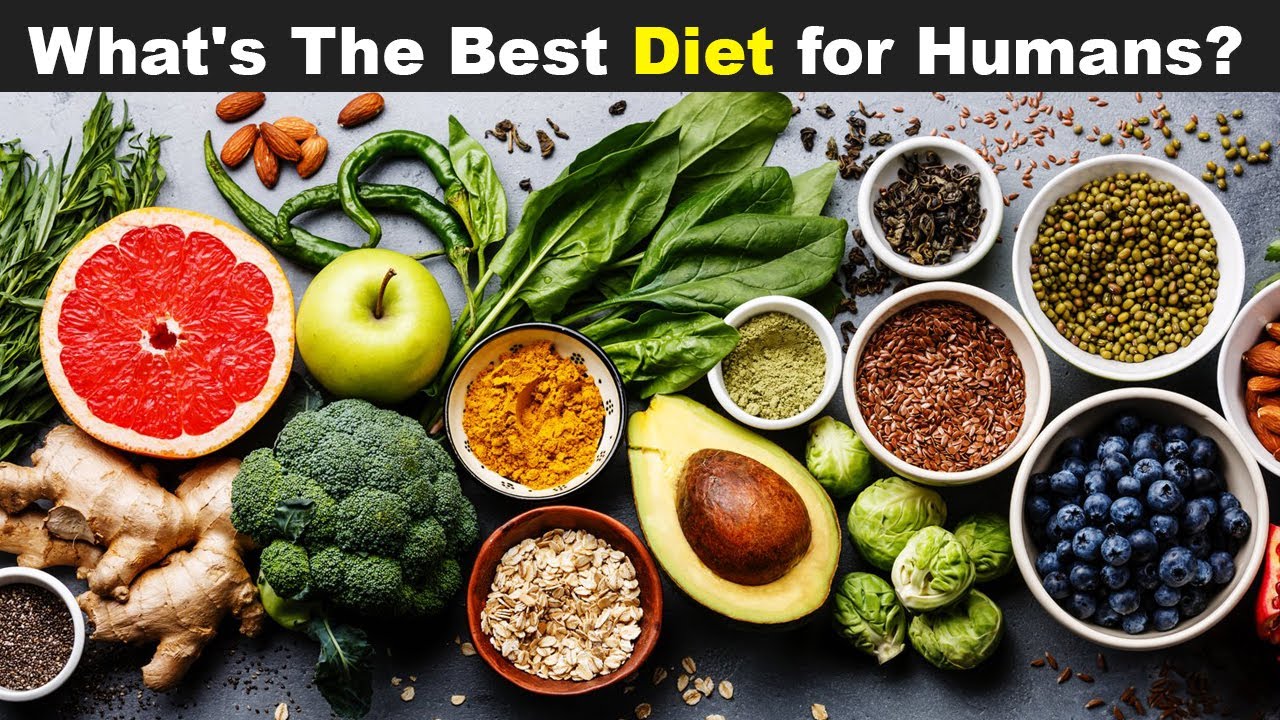 What Is The Best Diet for Humans According To Science? (Urdu/Hindi ...