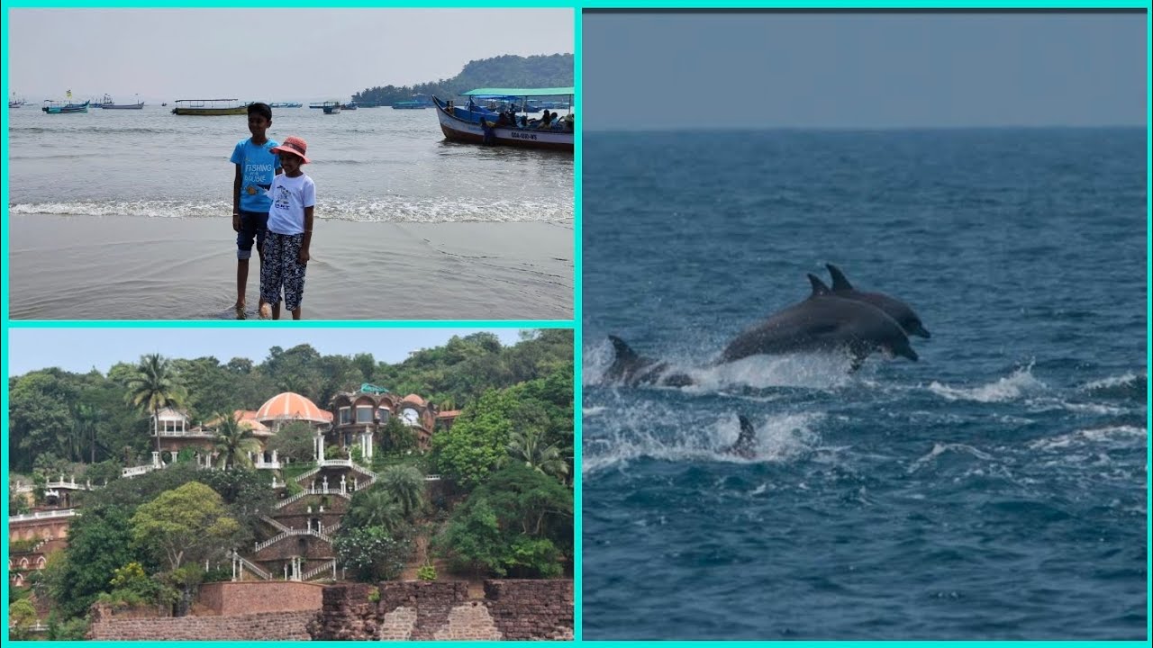 Goa|Dolphin 🐬🐋 SightSeeing| Coco Beach ⛱️🏖️|North Goa - YouTube