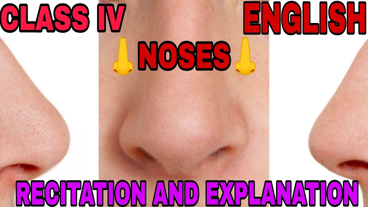 NCERT CLASS IV ENGLISH NOSES POEM RECITATION AND EXPLANATION YouTube ncert-class-iv-english-noses-poem-recitation-and-explanation-youtube