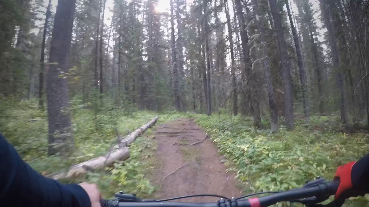 Canmore Bike Trails. Kananaskis Trail - YouTube