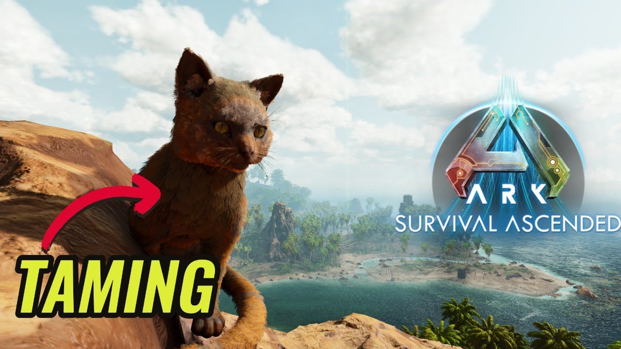 hanno aggiundo i gatti su ark!! | Ark survival ascended - YouTube