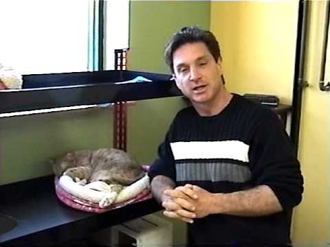 Steven Mark Hahn Adopt a Pet - YouTube