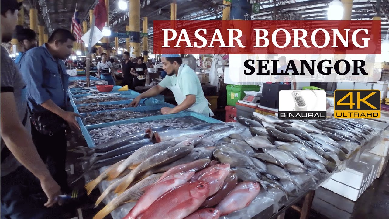 [Walk Around] Pasar Borong Selangor, Malaysia - Ikan & Sayur yang Fresh ...