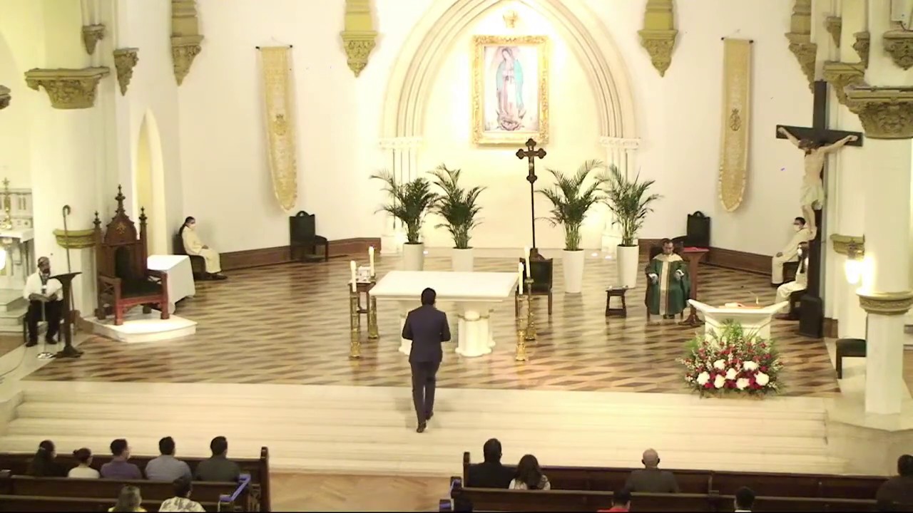 XIV Domingo Ordinario - Ciclo A | Misa Dominical desde la Catedral de ...