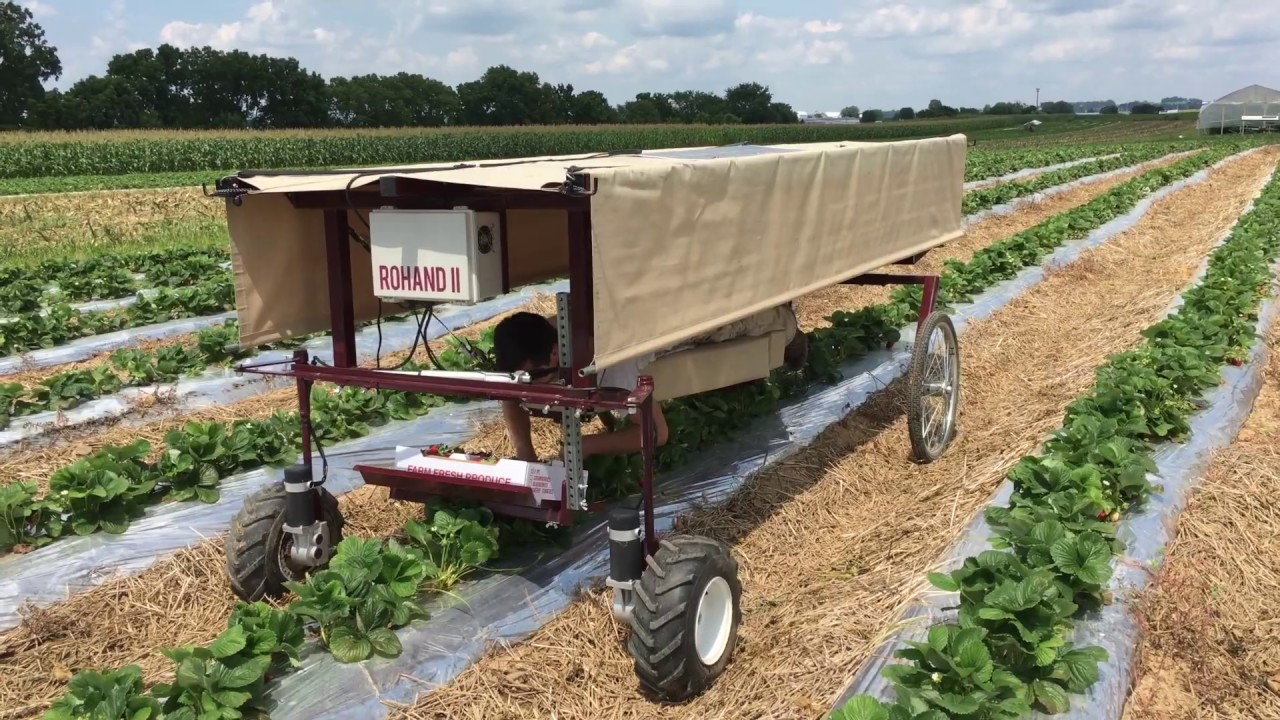 RoHand II Picking Assistant - YouTube