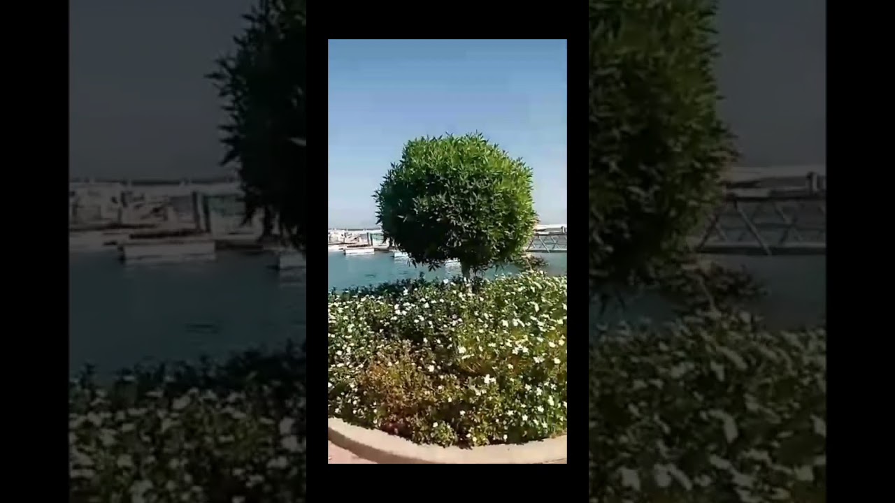 Sunset beach al khobar Saudi Arabia - YouTube