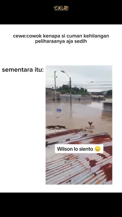 Wilson Lo Siento - YouTube