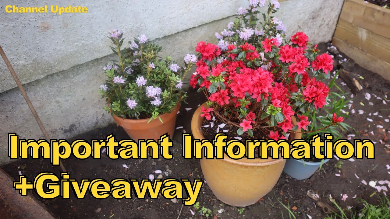 IMPORTANT NEWS | CHANNEL UPDATE GIVEAWAY - YouTube