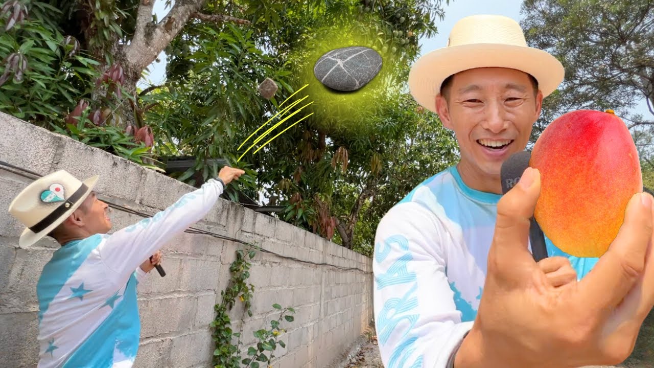 Aprendí a bajar mangos estilo Hondureño | Adentro el barrio MÁS GRANDE ...