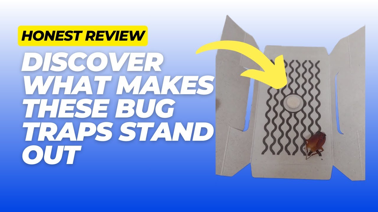 BugMD Indoor Cockroach Killer & Roach Trap - Sticky Insect, Spider ...