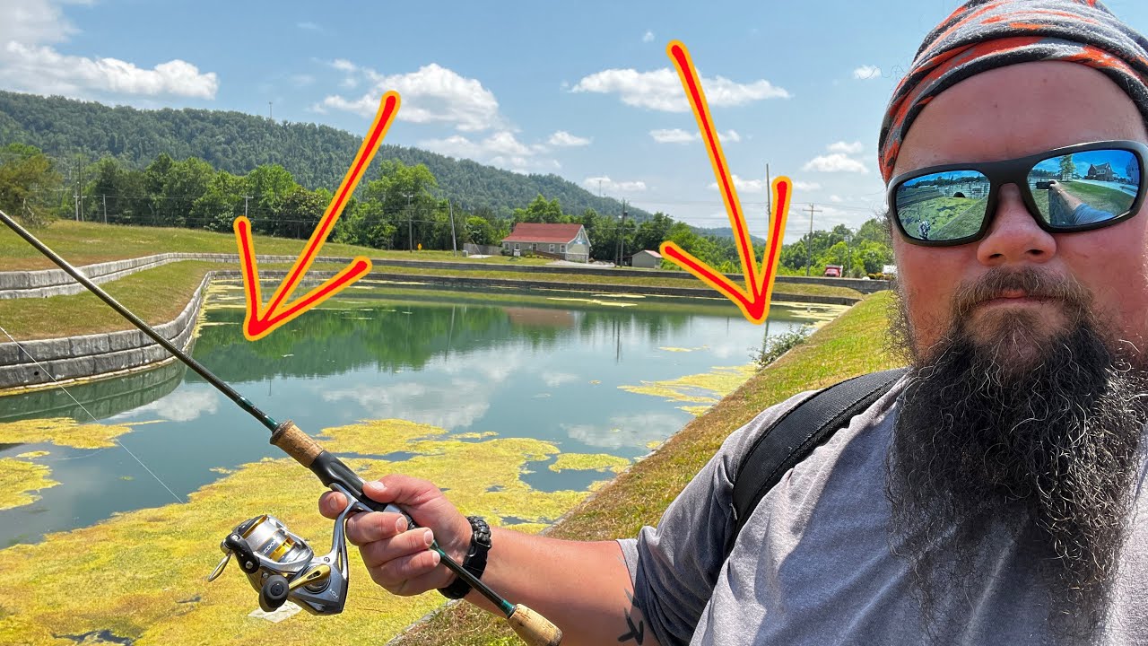 This pond is FULL of the most FEROCIOUS panfish (HYBRID monsters ...