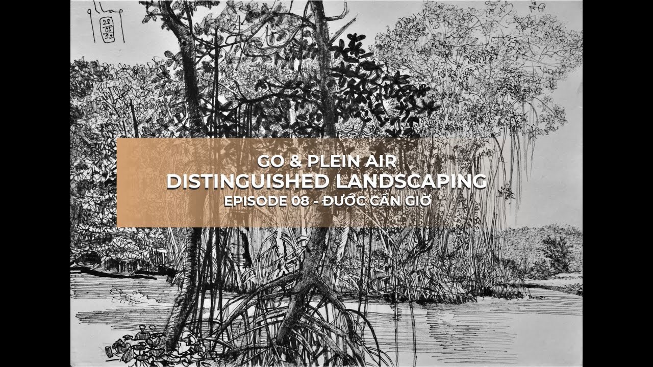 EPISODE08 - Mangroves drawing - YouTube