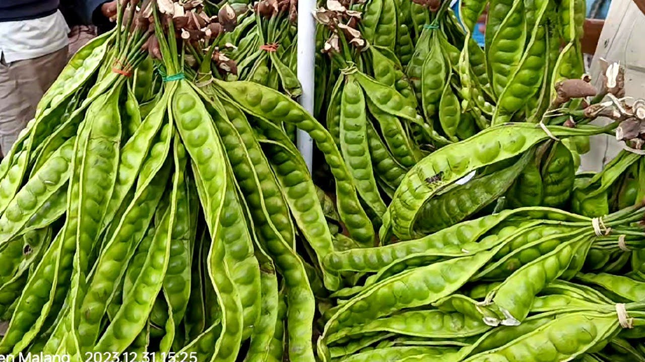 Pasar Lawang, Jawa-Timur, Indonesia - YouTube