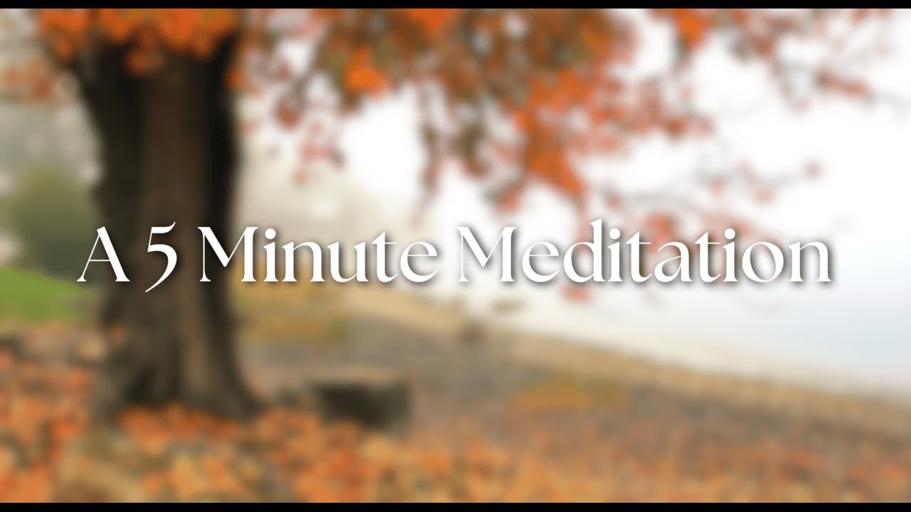 5 Minute Nature Meditation | Timer, Start & Stop Bell | Mindfulness ...
