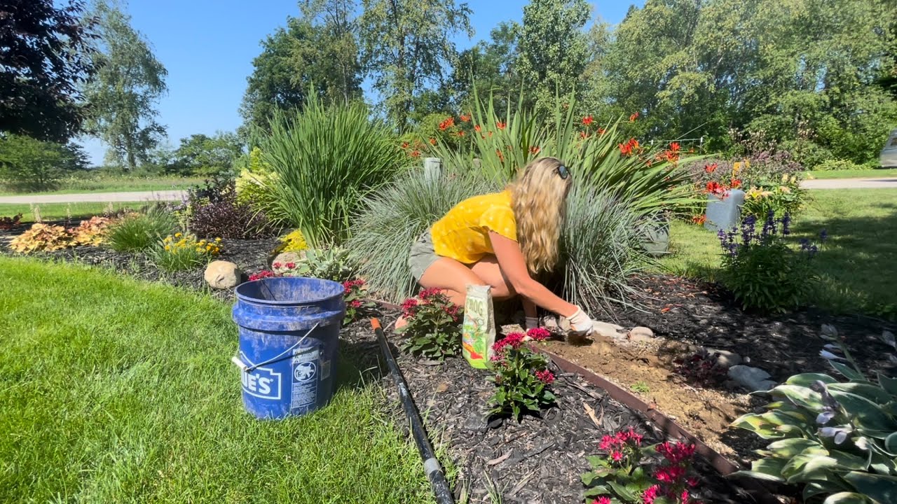 Random Garden Things: Planting, Bees, and A Wood Sign for My Brother ...