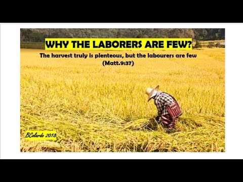 WHY THE LABORERS ARE FEW? - Discipleship series # 3 - YouTube