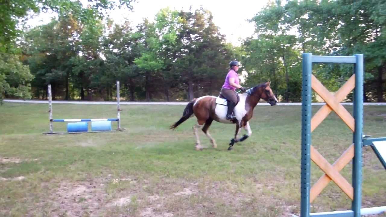 Bunny corner jump - YouTube