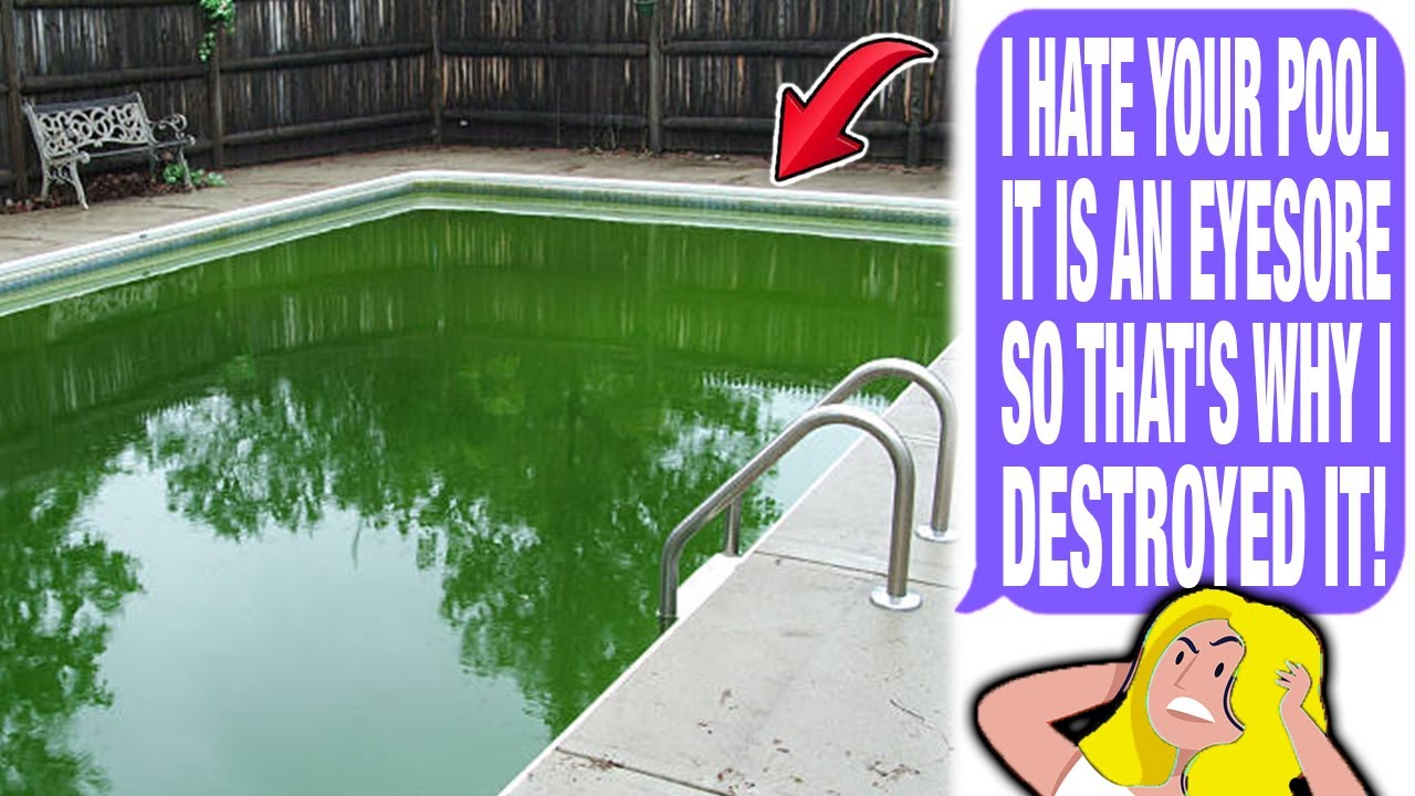 Neighbor Destroyed My Pool With Dangerous Chemicals After Claiming The ...