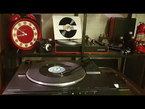 Emel Sayın Feryat - Plak Kayıt - OziPlak