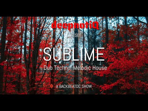 Sublime E23 : deepnotiQ : Dub Techno, Melodic House - YouTube