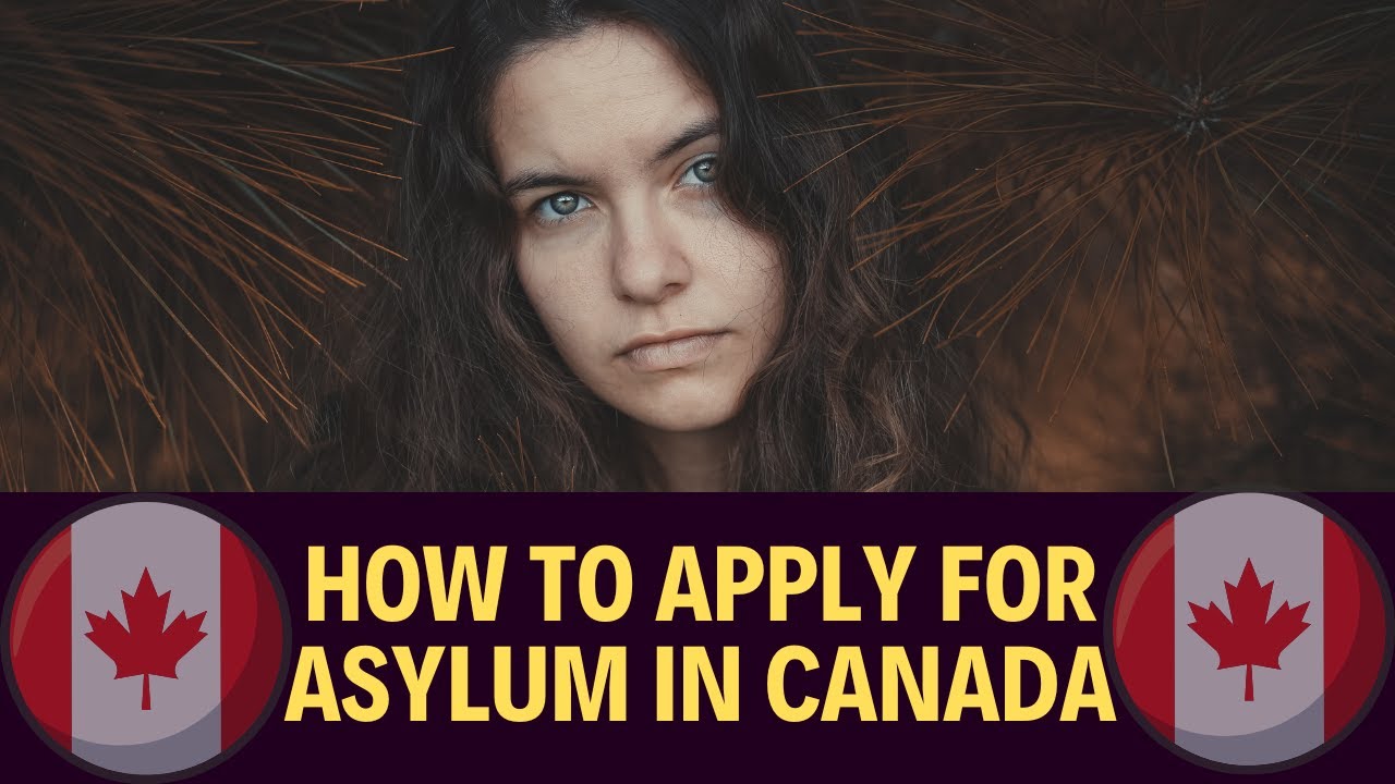 How to Apply for Asylum in Canada - YouTube