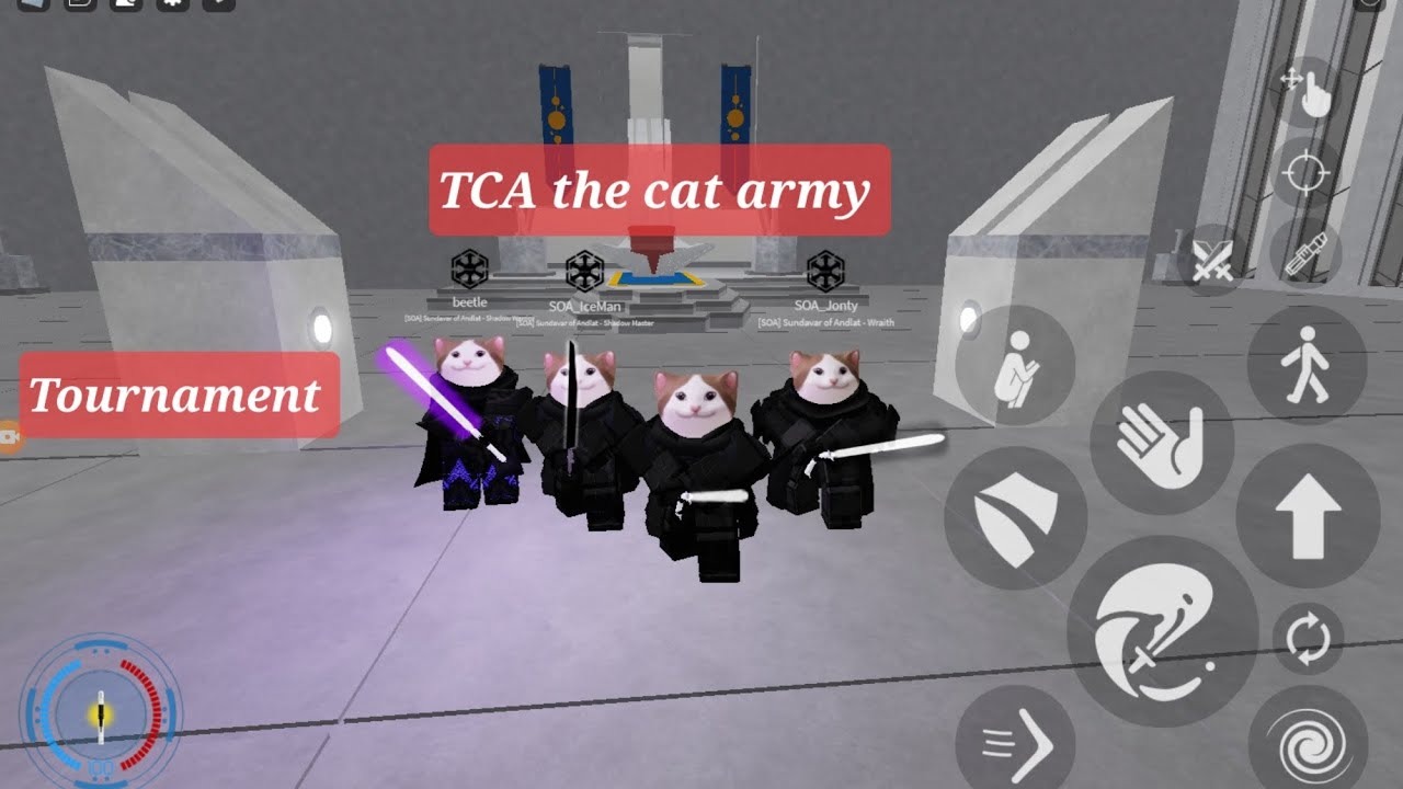 Cat tournament Sabershowdown - YouTube