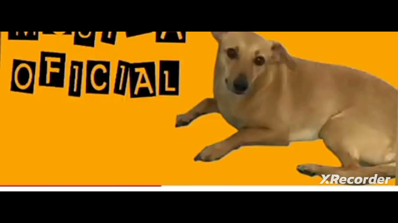 cachorro caramelo [official] tropa caramelo - YouTube