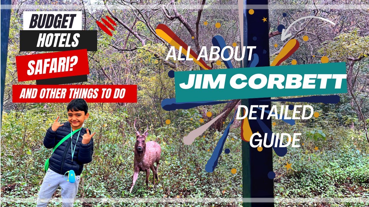 Complete Travel Guide for Jim Corbett - Safari Details, Canter vs Gypsy ...