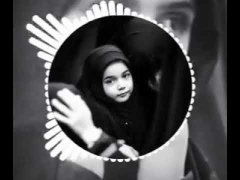 Haci Şahin status üçün video, WhatsApp status ucun sevgiye aid, dini videolar. #Whatsapp ucun video.