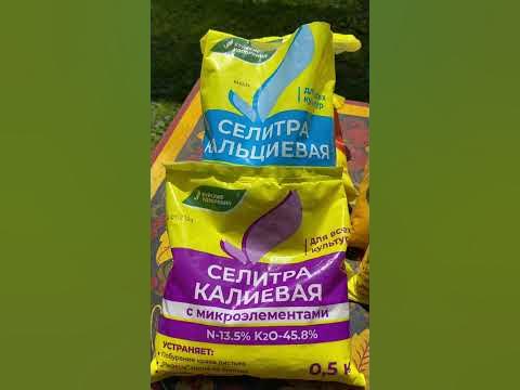 ПОДКОРМКА ПЕТУНИИ #рекомендации #петуния #петунии #подкормка #цветы # ...