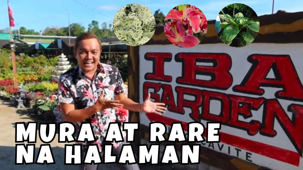 MURA AT RARE NA HALAMAN SA IBA GARDEN | GARDEN SHOPS TOUR IN SILANG ...
