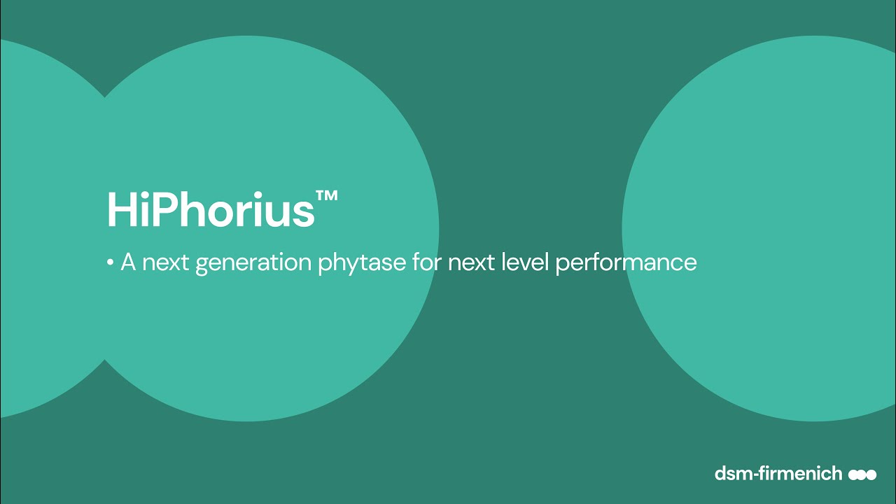 HiPhorius™: Next generation phytase for next level performance - YouTube