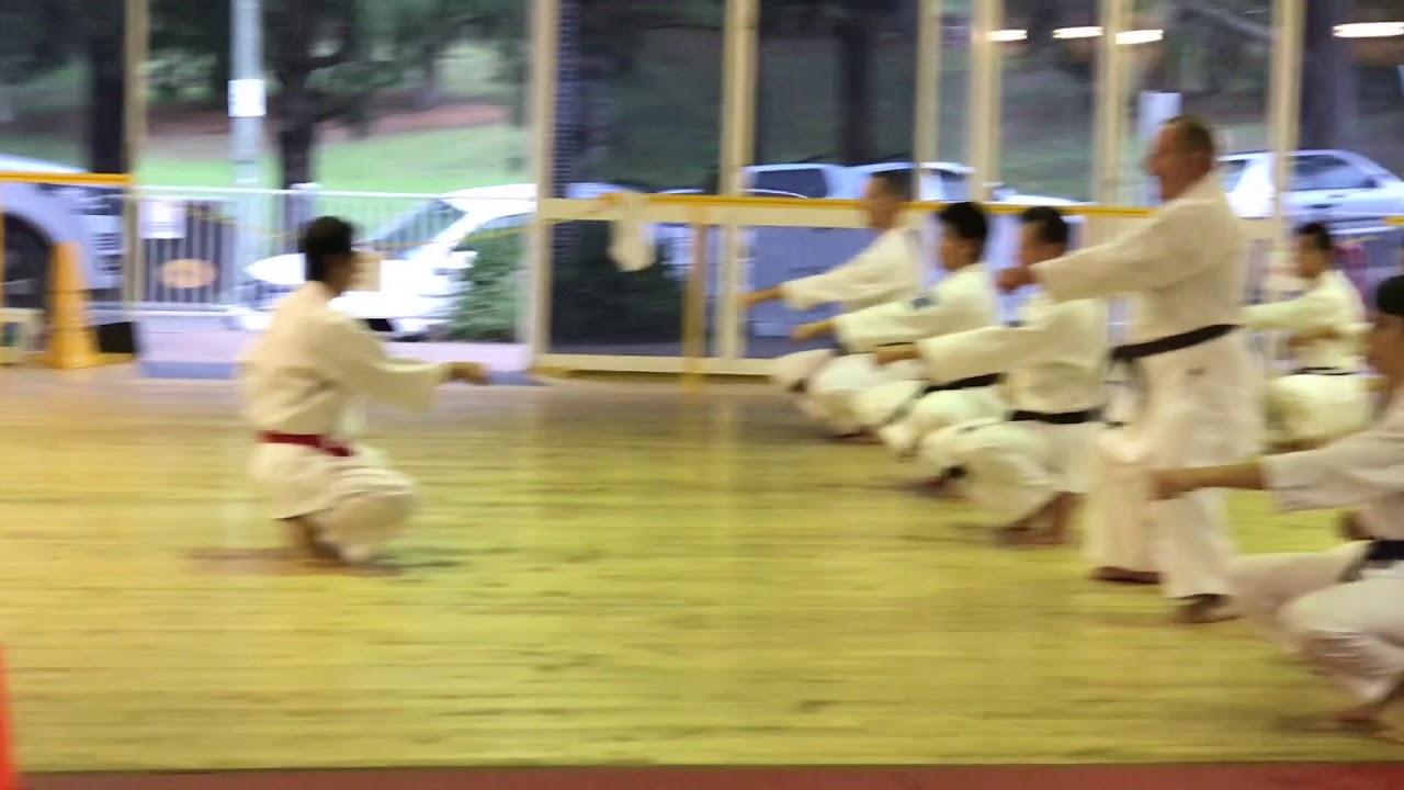 Teen & Adult Karate Balance and Core Strength Training - YouTube