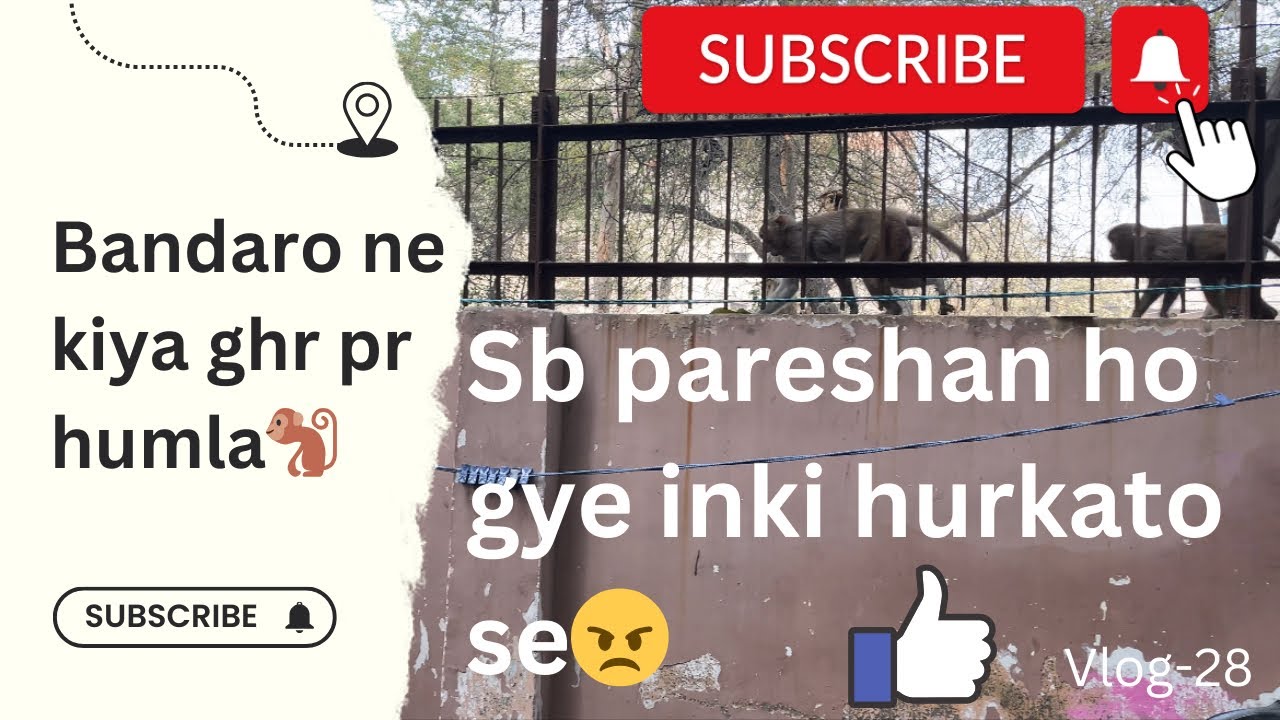 Bandaro ne kr diya sbko pareshan🐒|| (Vlog-28)😊 - YouTube