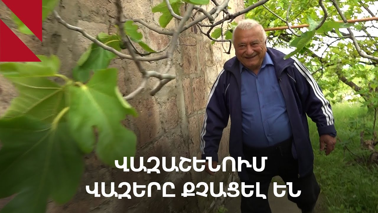 Վազաշեն Տավուշ․ մաշվող գյուղի առօրյան Youtube
