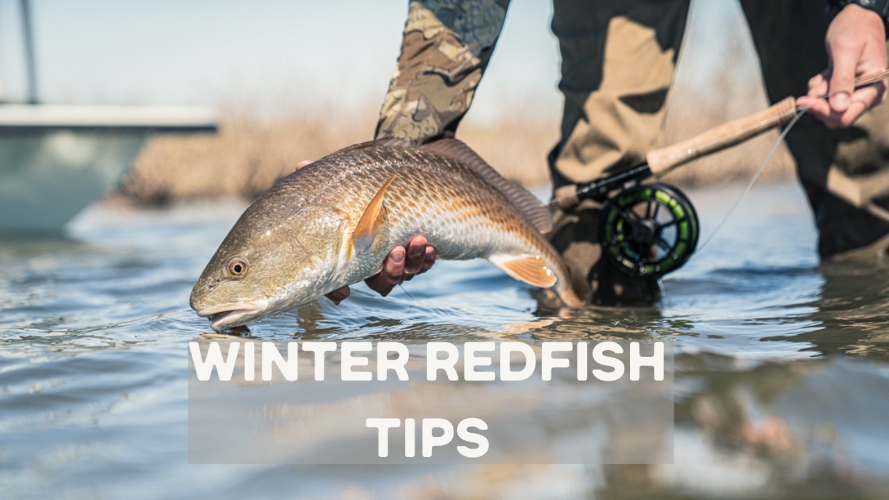 How to Catch Redfish in the WINTER - YouTube