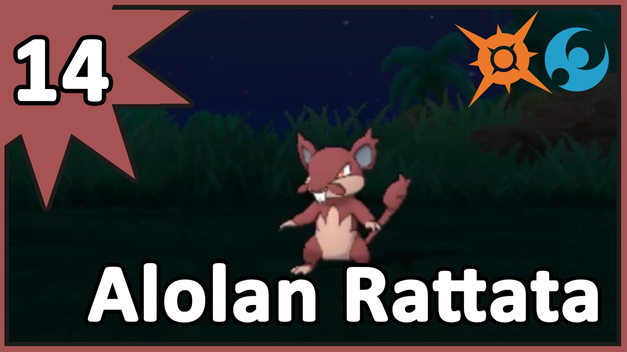 Shiny Alolan Rattata (134 SOS encounters) - YouTube