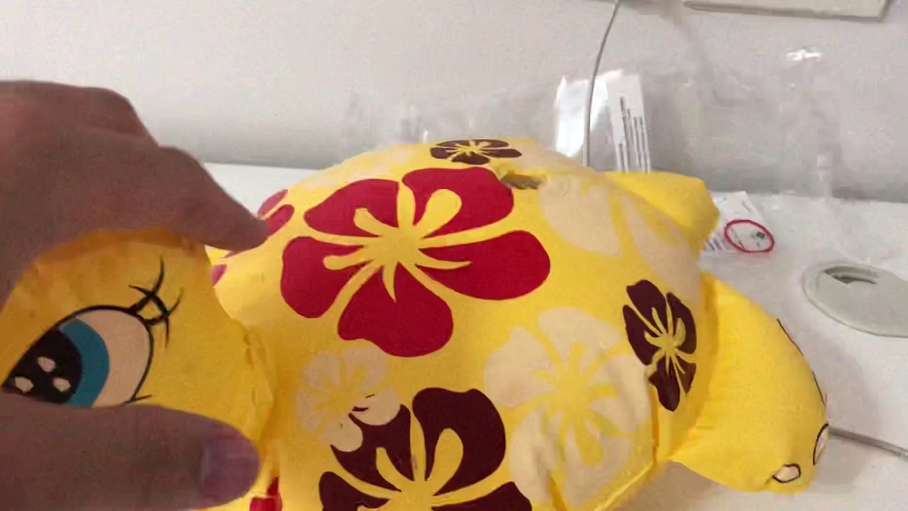 My new inflatable turtle - YouTube