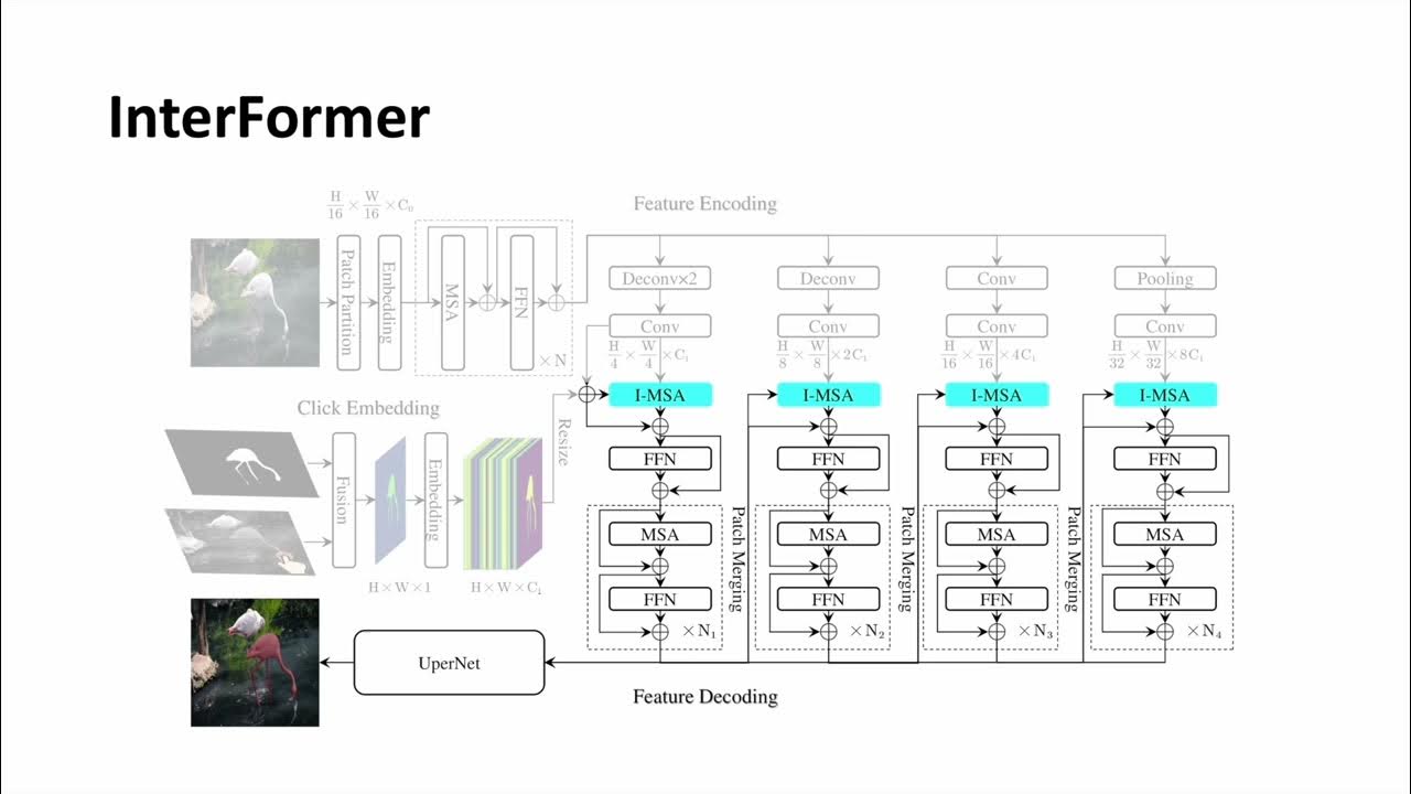 InterFormer: Real-time Interactive Image Segmentation - YouTube