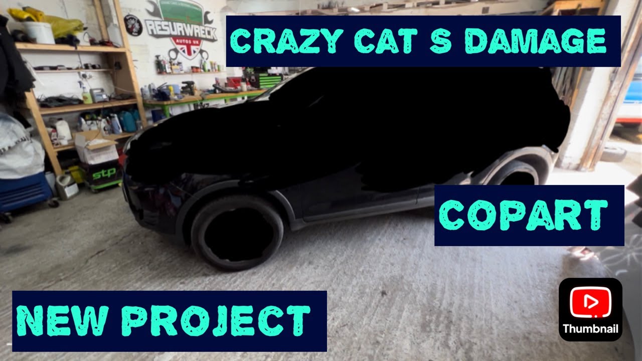 New Project With Crazy Cat S ( Structural ) Damage From Copart ...