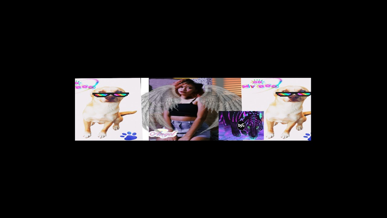 Transmisión en vivo de Perreología - YouTube