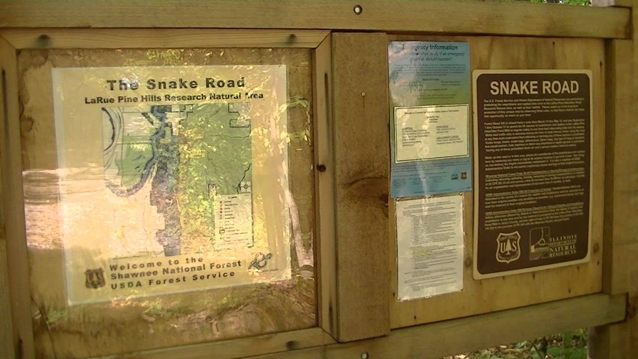 Southern Illinois, Snake Road (Signage) - YouTube