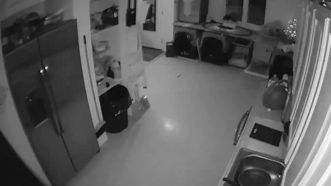 Alaska 2018 earthquake - Kitchen view - YouTube